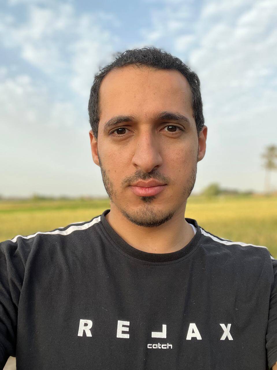 Ahmed Esmail Marie Ali - CV